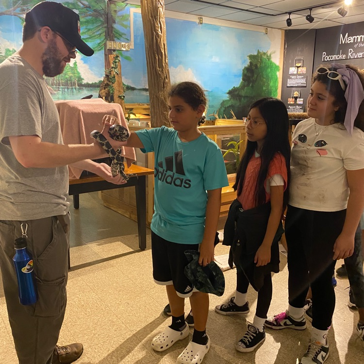 Live Feed | BERLIN INTERMEDIATE SCHOOL